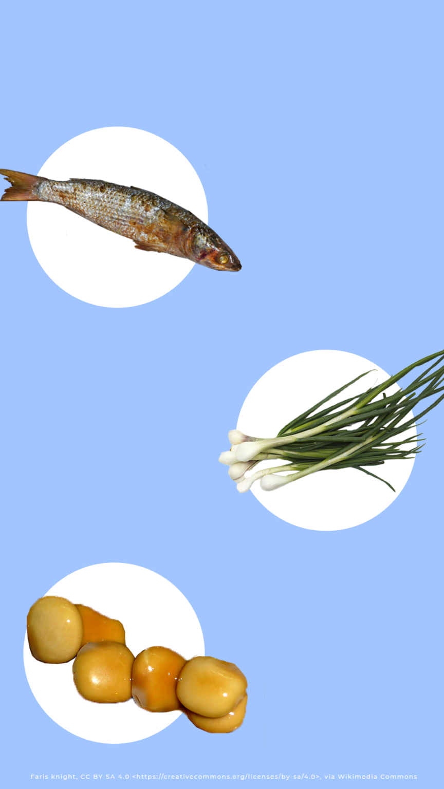 Arabic Holidays for Pharaohs: Sham En-Nessim